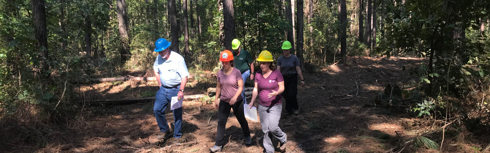 Management – Duke Forest