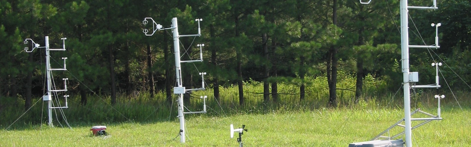 Research – Duke Forest