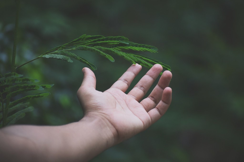 Connect with Nature this Spring – Duke Forest