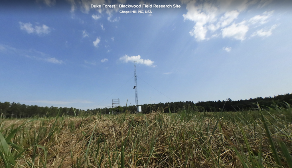 360° Views of the Duke Forest – Duke Forest