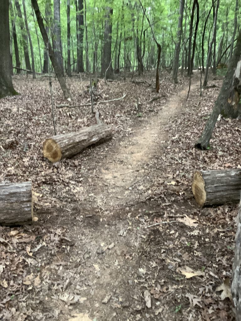 A Recreational Impact Statement from the Office of the Duke Forest at ...